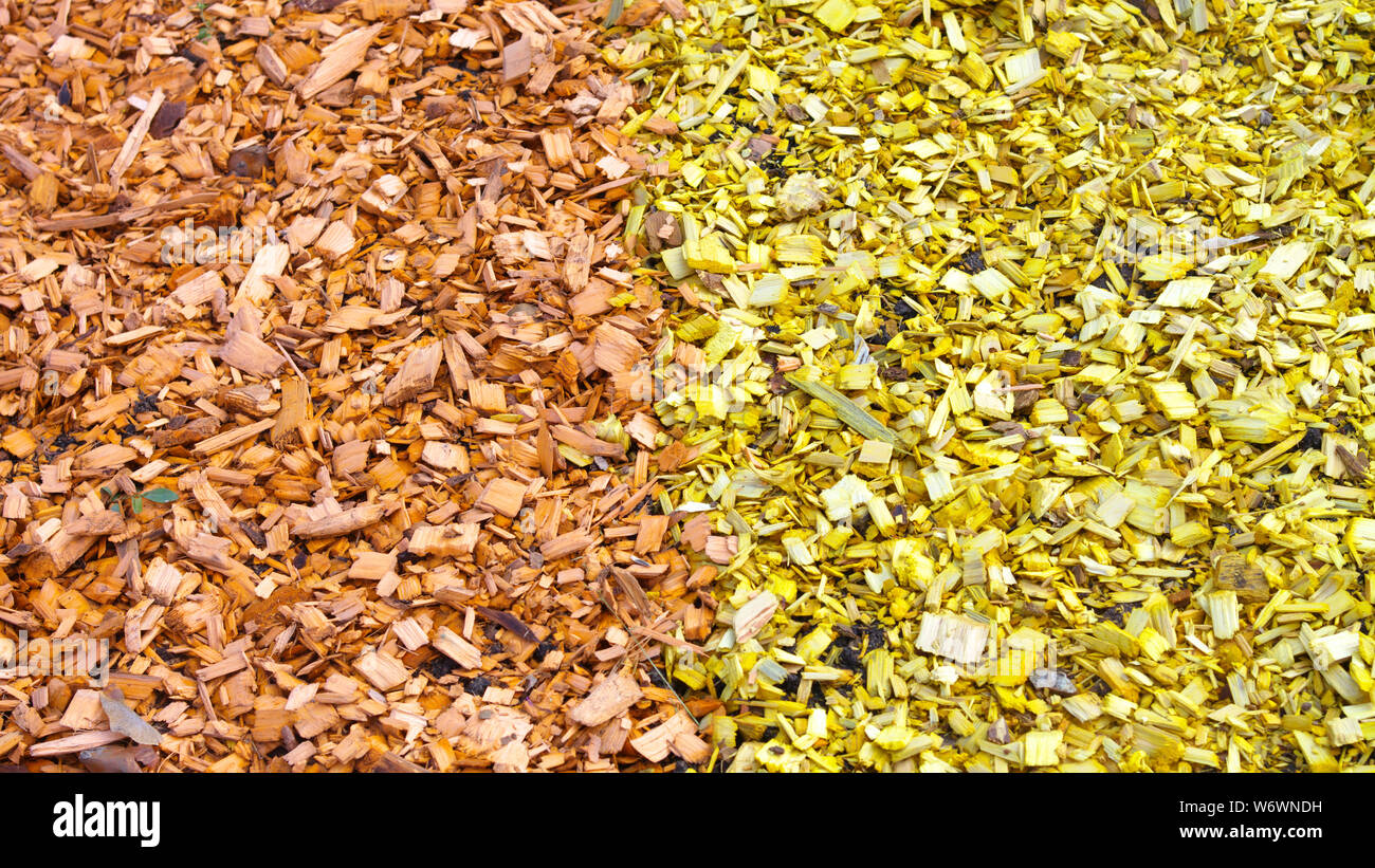 Small twofold hi-res stock photography and images - Alamy