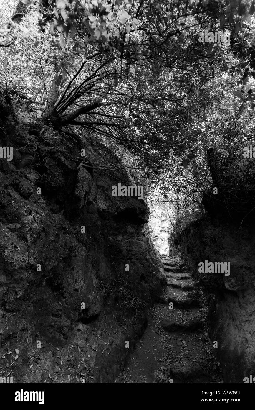 Narrow footpath Black and White Stock Photos & Images - Alamy