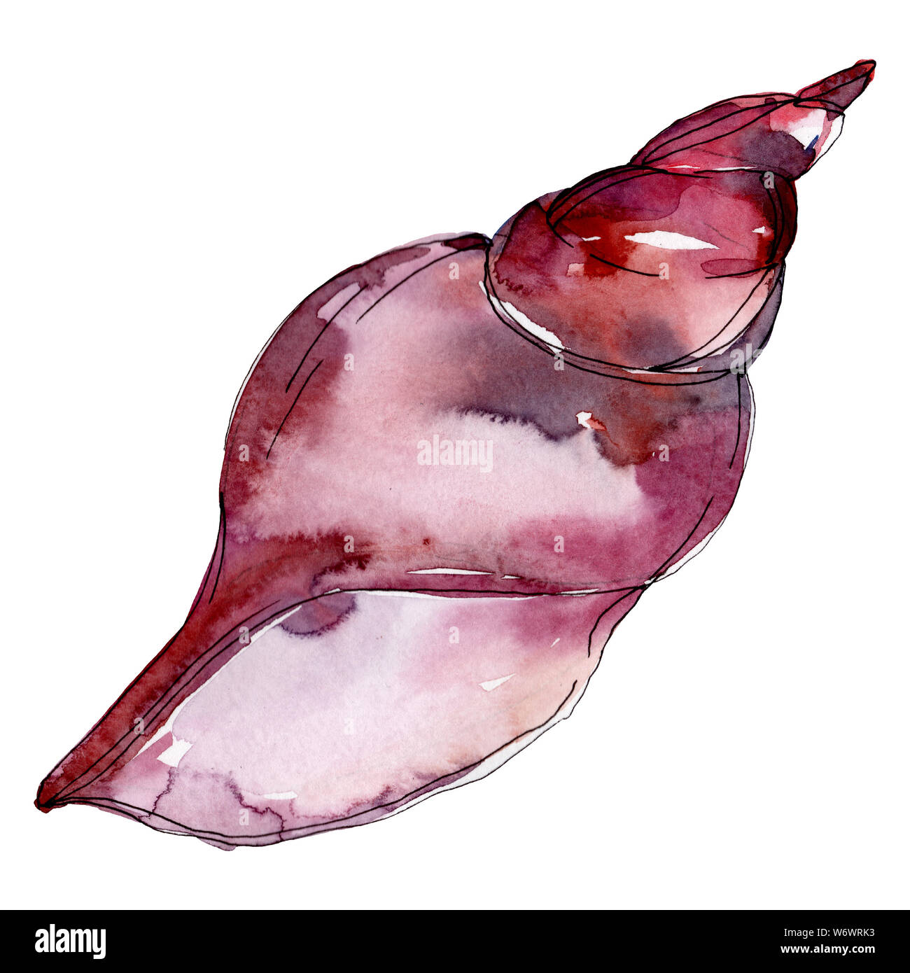 Watercolor summer beach seashell tropical elements. Underwater ...