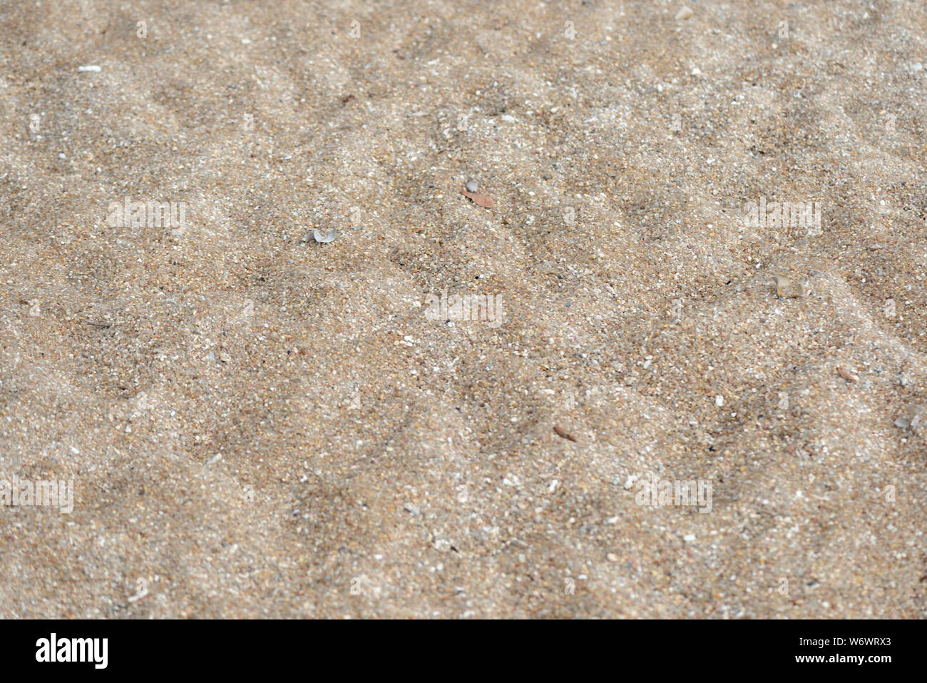 Texture of sand on the beach close up. Natural abstract background ...