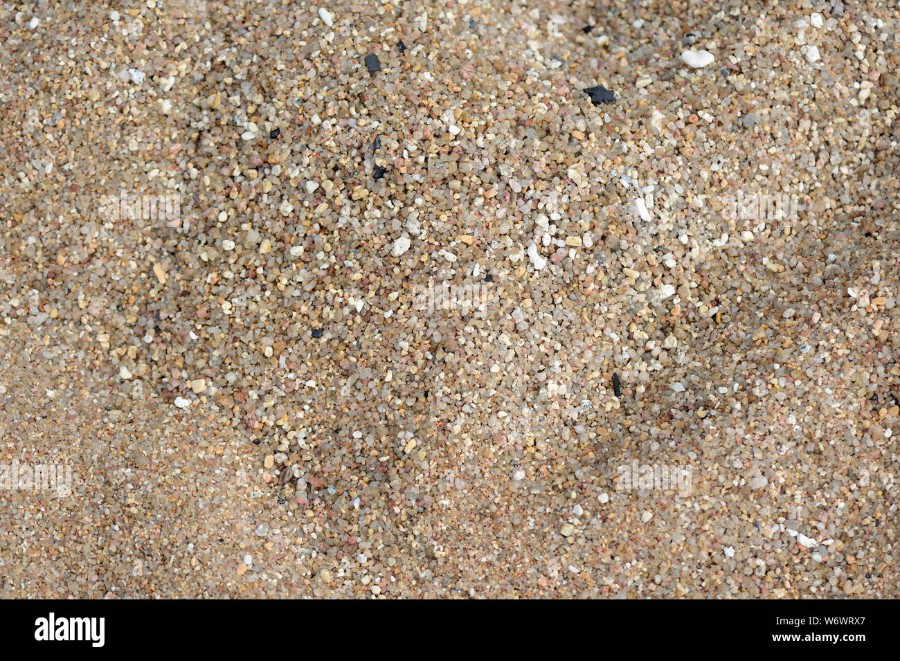 Texture of sand on the beach close up. Natural abstract background ...