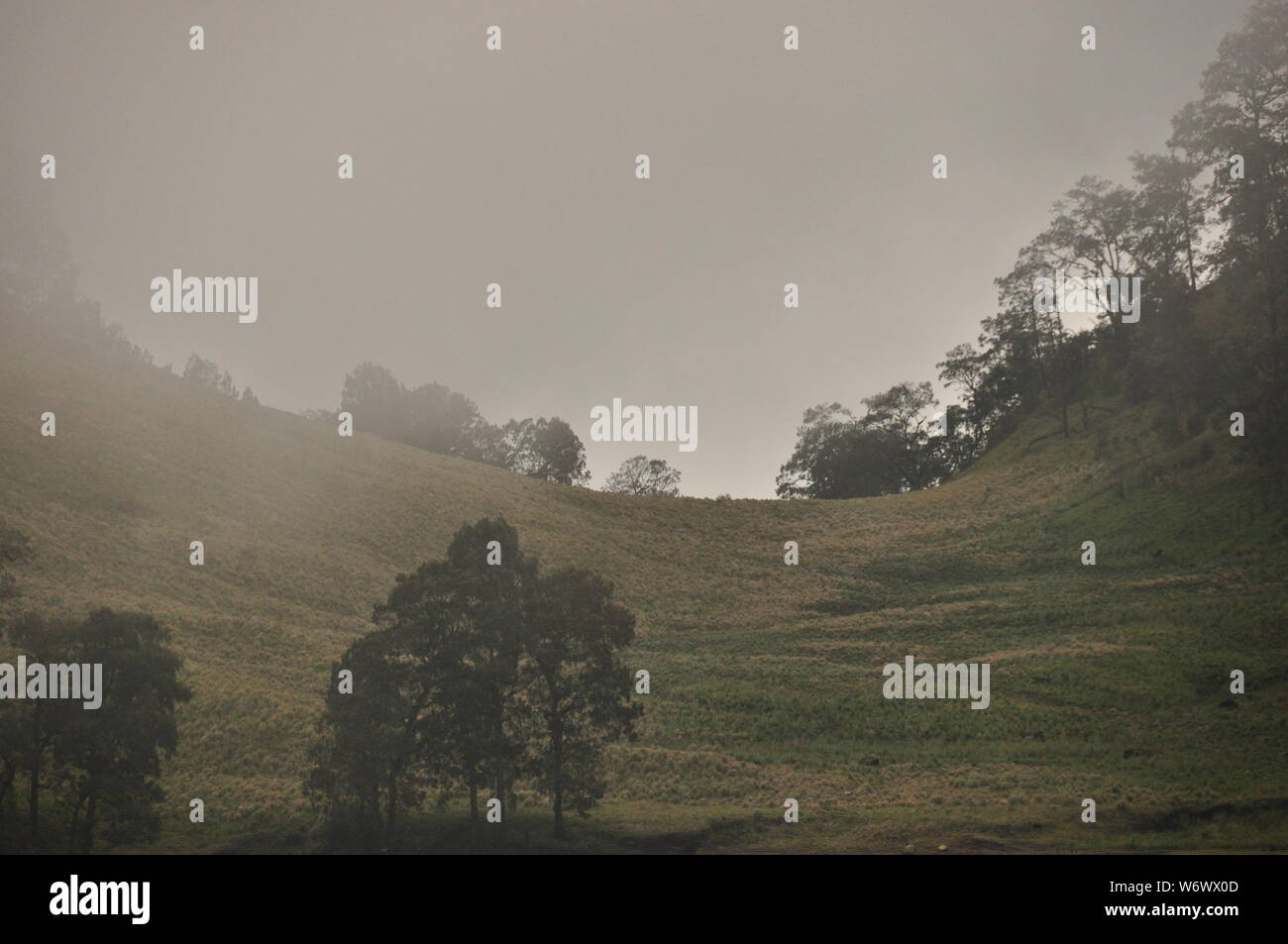 Climbing the volcano Semeru, Indonesia. Clouds obscured the crater and ...