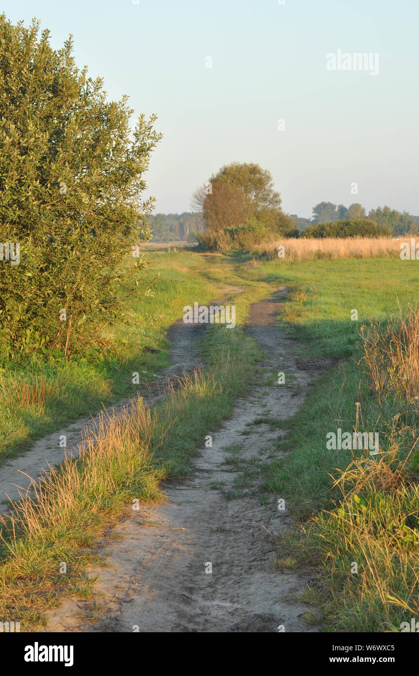 Reed mowing hi-res stock photography and images - Alamy