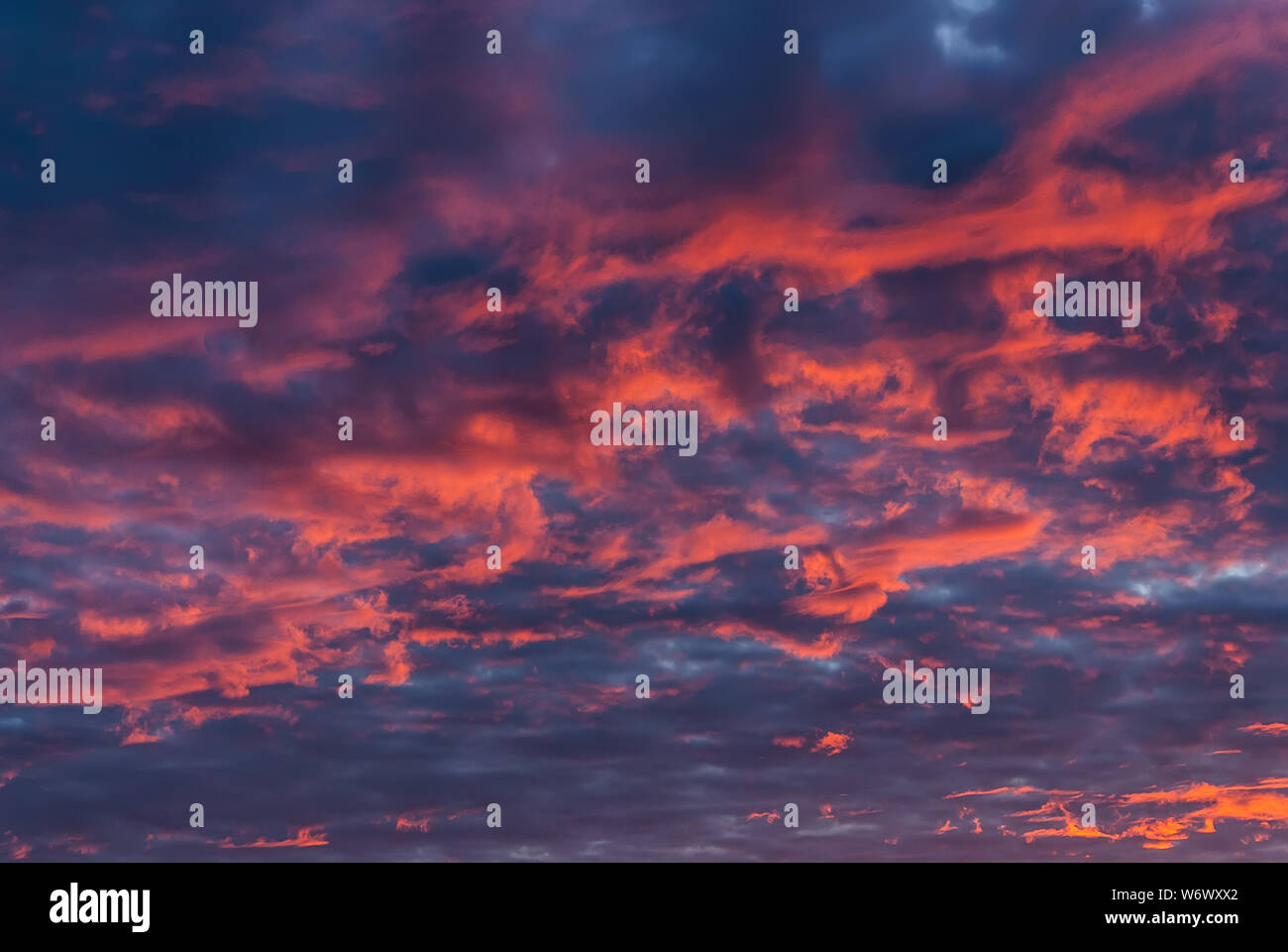 Sunset clouds sky background. Blue and red suset sky with clouds Stock ...