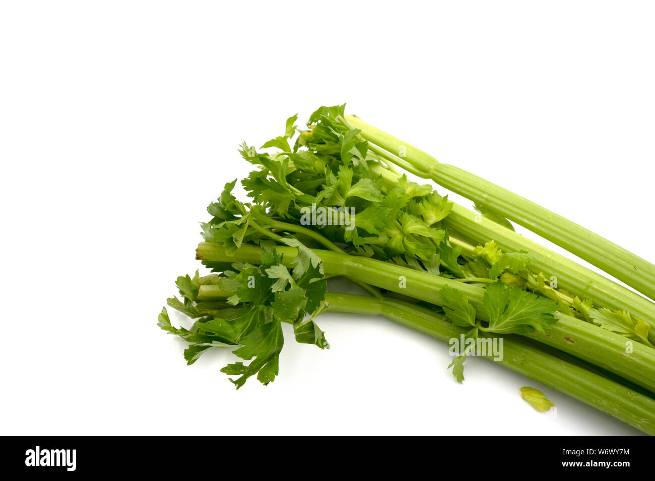 Fresh green celery stalk isolated on white background. Healthy food ...