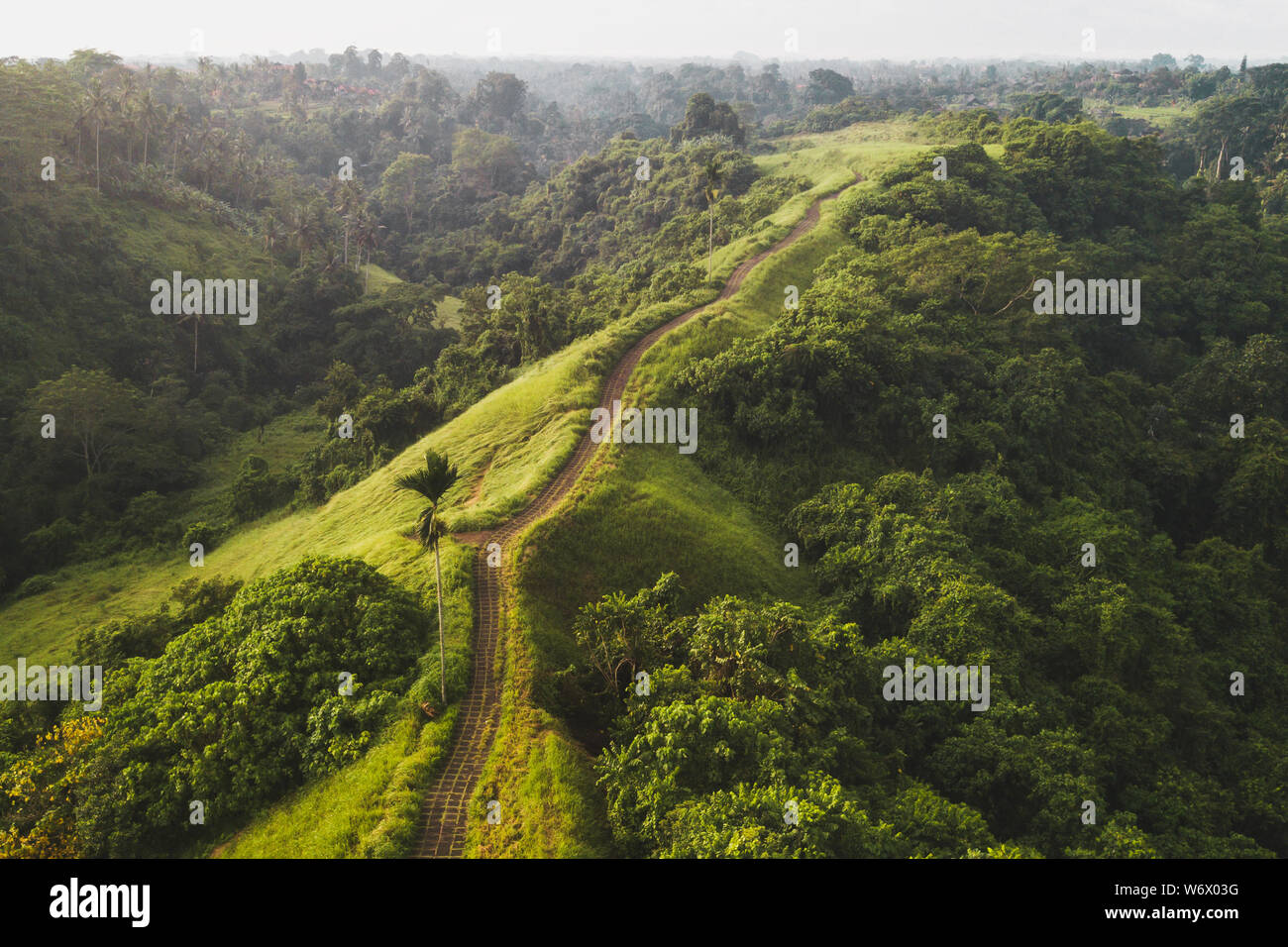 Aerial view of Campuhan Ridge Walk , Scenic Green Hill in Ubud Bali ...