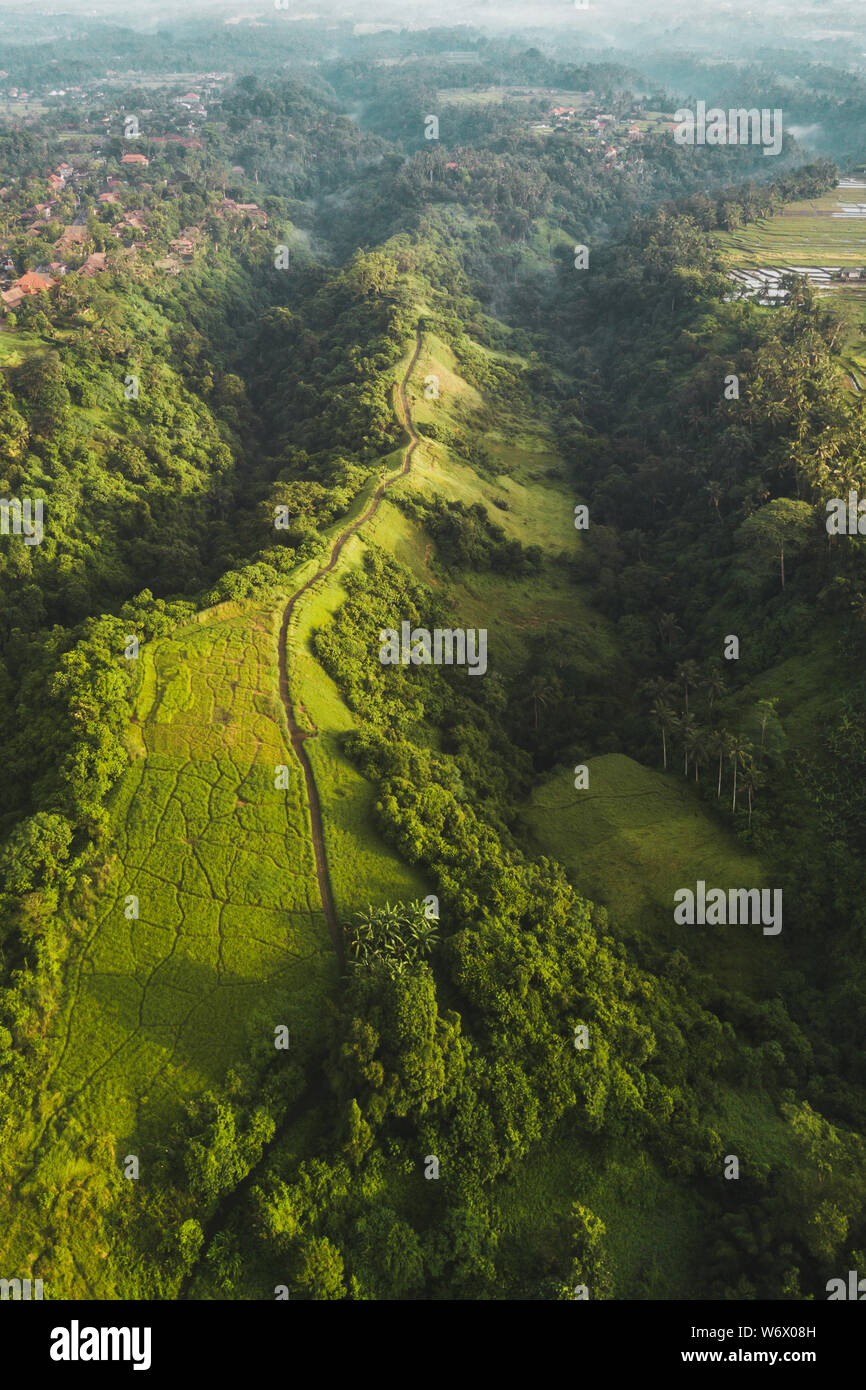 Aerial view of Campuhan Ridge Walk , Scenic Green Hill in Ubud Bali ...