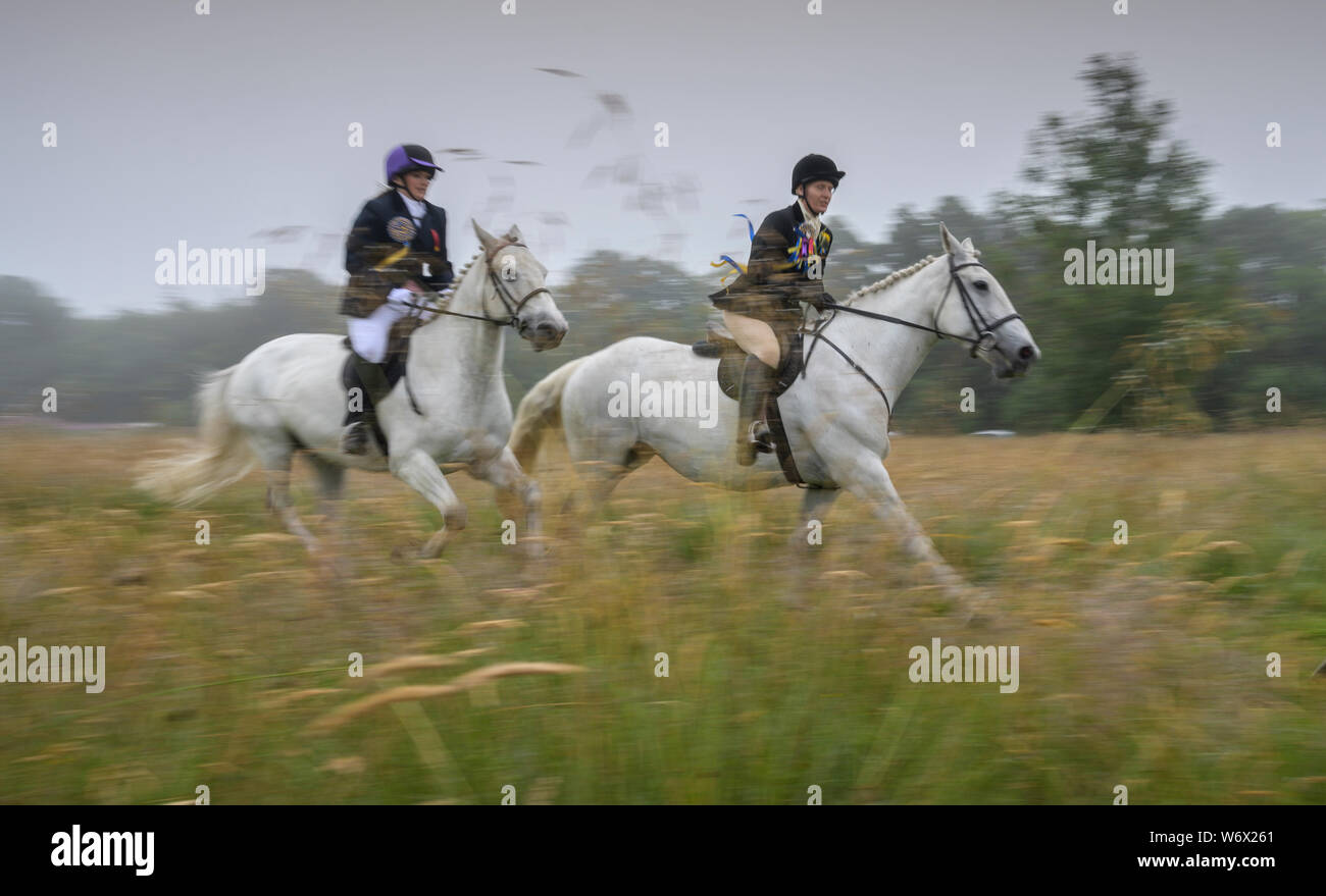 Scotland , Lauder , Scottish Borders , Berwickshire , UK, United ...