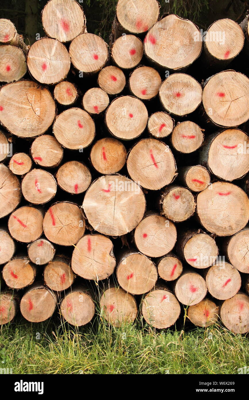 Polter High Resolution Stock Photography and Images - Alamy