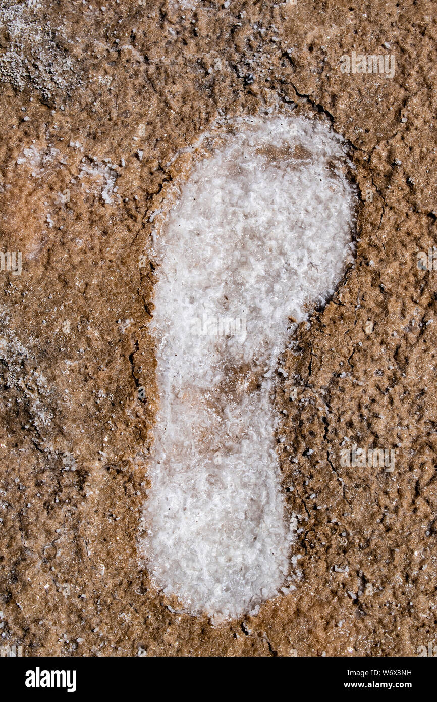 Turkey: a salty footprint on the salt expanse of Lake Tuz, Tuz Golu ...