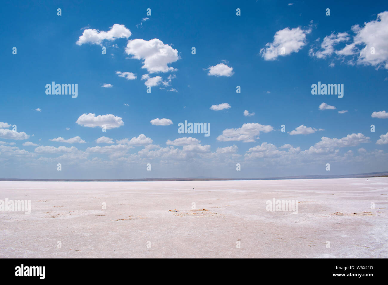 Salt environment hi-res stock photography and images - Alamy