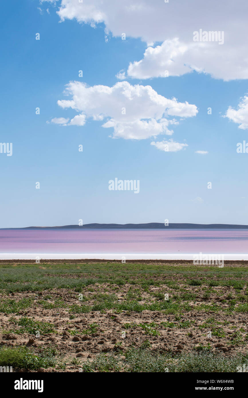 Turkey, Central Anatolia: aerial view of Lake Tuz, Tuz Golu, pink and ...