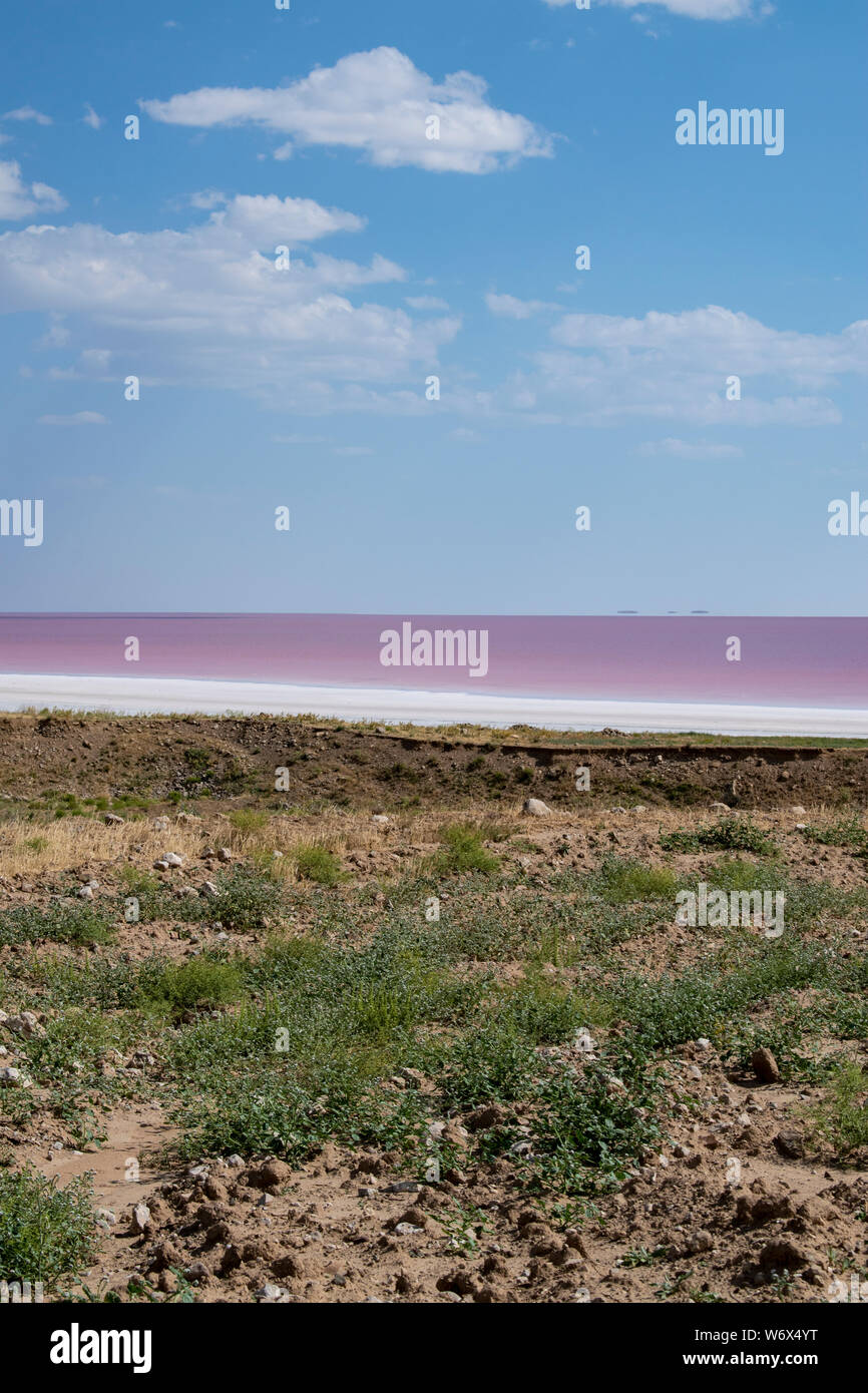 Turkey, Central Anatolia: aerial view of Lake Tuz, Tuz Golu, pink and ...