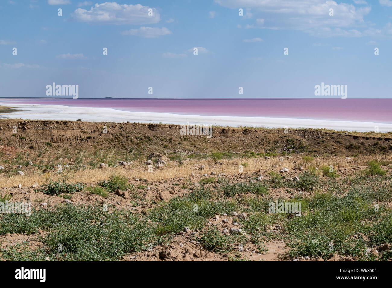Turkey, Central Anatolia: aerial view of Lake Tuz, Tuz Golu, pink and ...