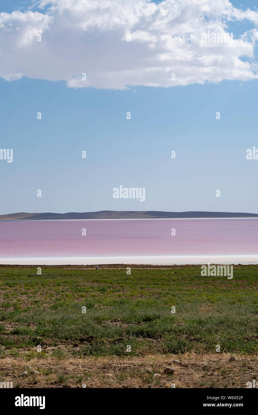 Turkey, Central Anatolia: aerial view of Lake Tuz, Tuz Golu, pink and ...