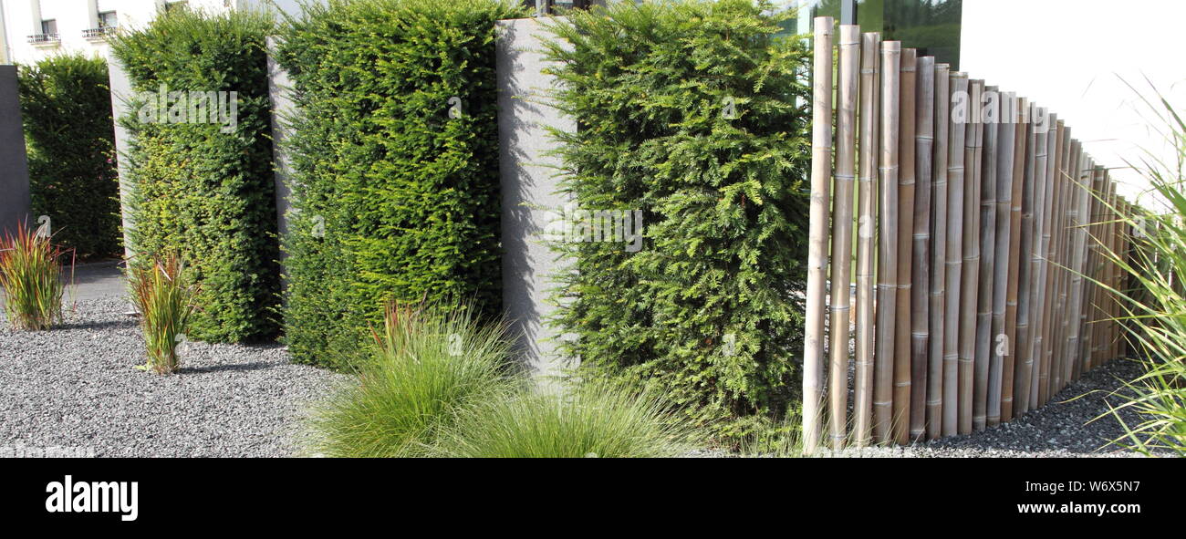 a nice modern front yard Stock Photo - Alamy