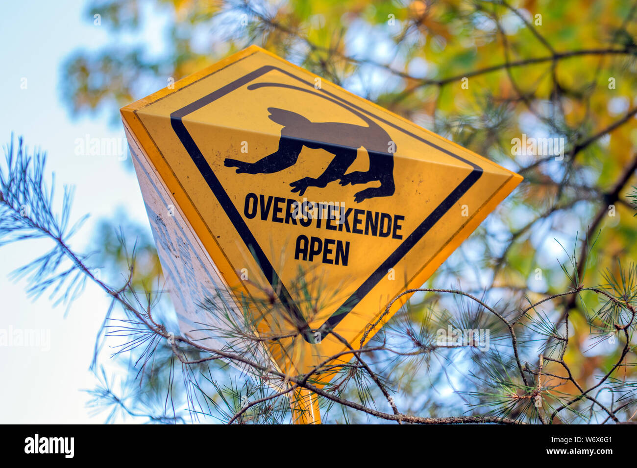 Funny Sign Apes Crossing At The Apenheul Zoo The Netherlands 2018 Stock ...