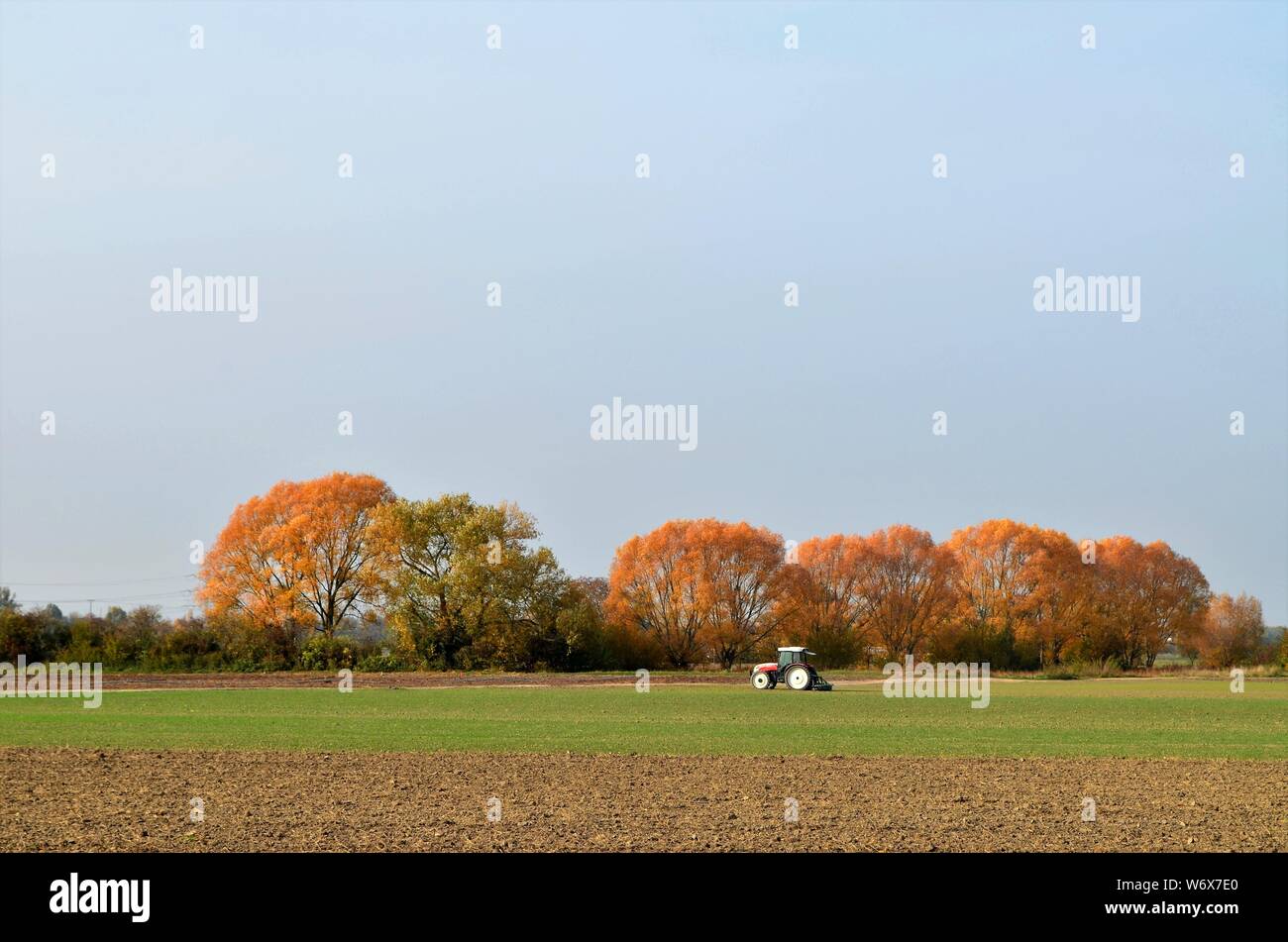 Traditional farm life in germany hi-res stock photography and images ...