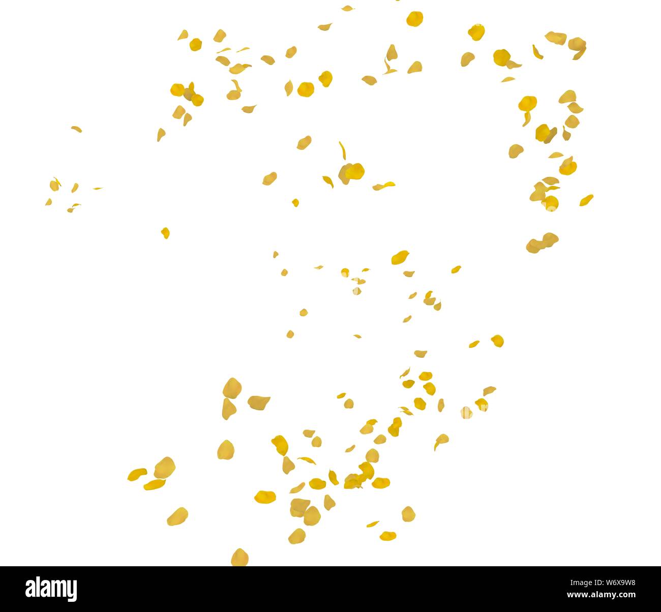 Yellow rose petals fly in the air. Isolated white background Stock ...