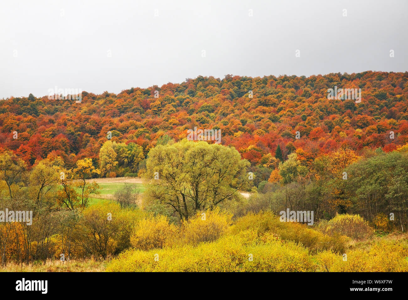 Gorne hi-res stock photography and images - Alamy