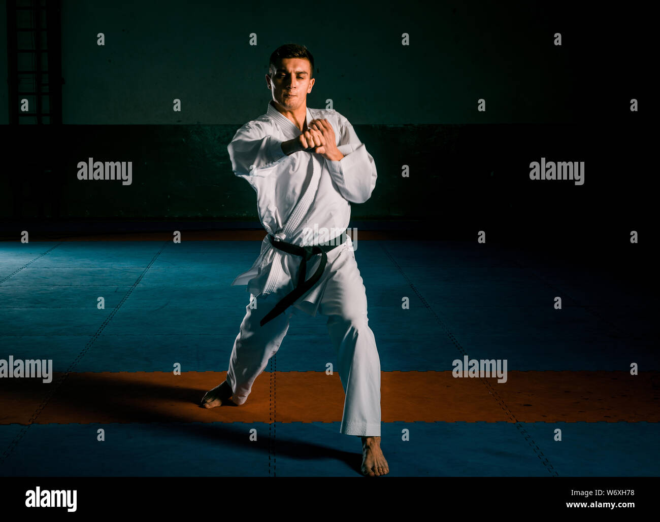 Karate man with black belt posing, champion of the world on black ...