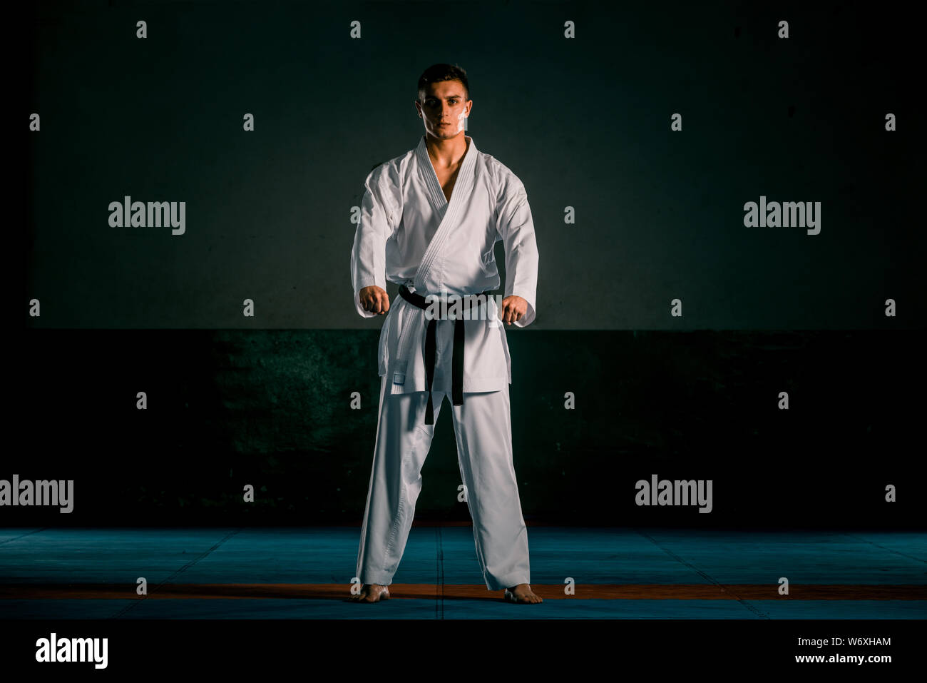 Karate man with black belt posing, champion of the world on black ...
