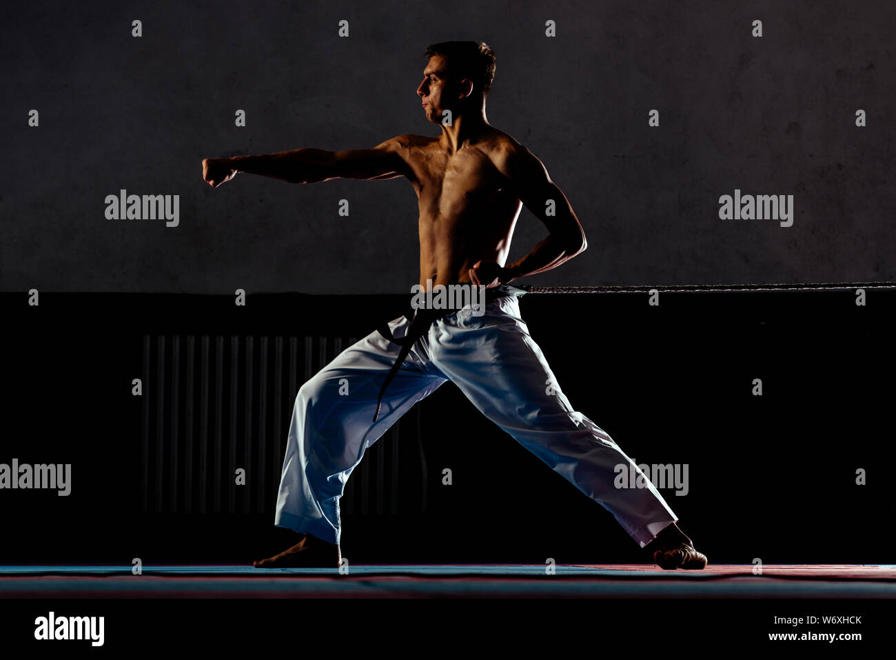 Karate man with black belt posing, champion of the world on black ...