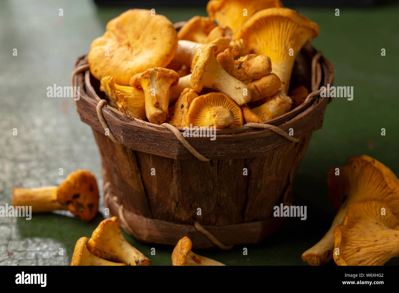 Harvest of fresh forest mushrooms Stock Photo - Alamy