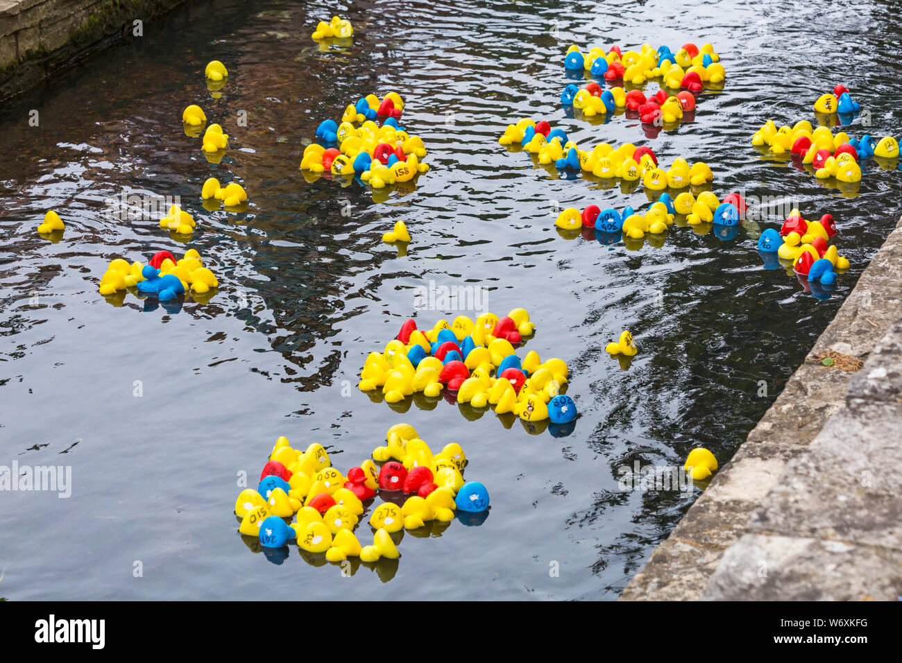 Rubber duck racing hi-res stock photography and images - Alamy