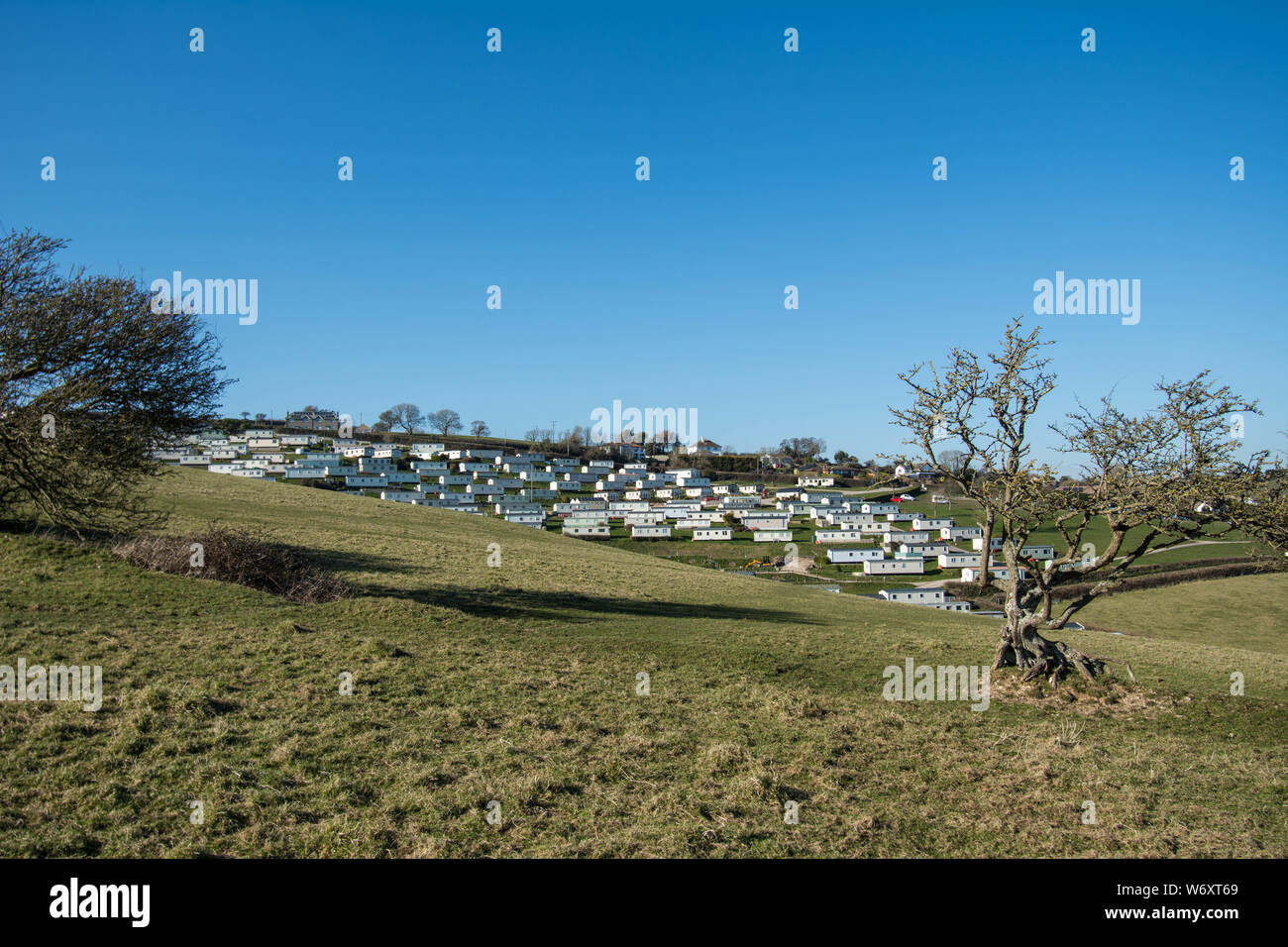 Caravans Devon coast of England caravan field stored store tree trees ...