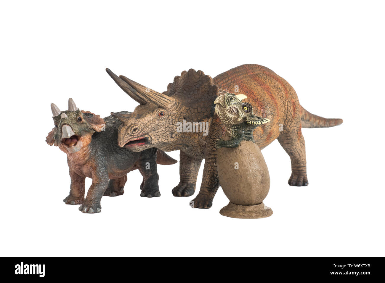 Evolution of triceratops into years. Baby, young and adult triceratops ...