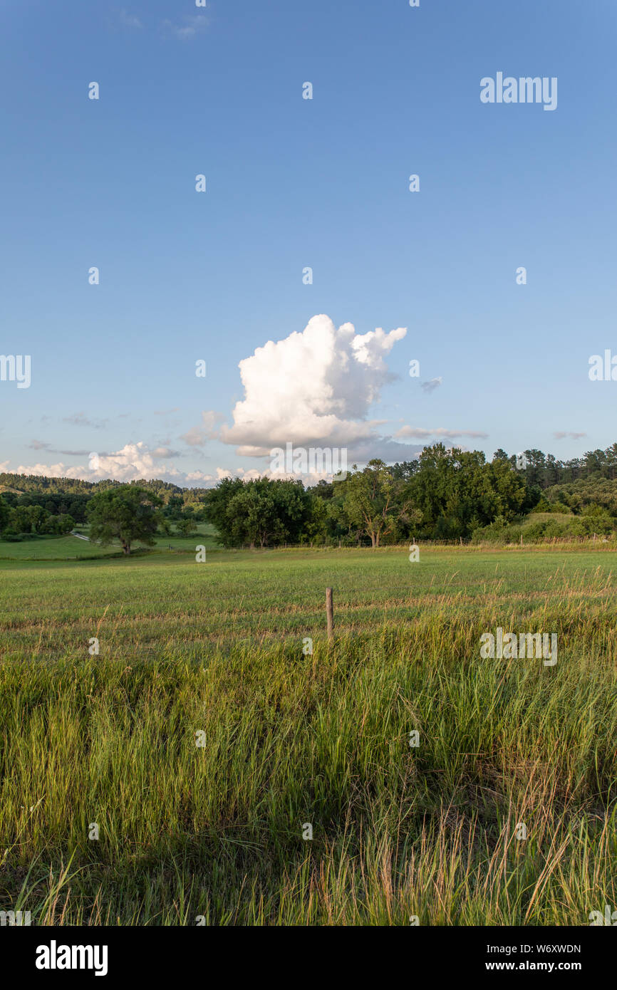 Landscape photo of a field in the midwest with fluffy clouds Stock ...