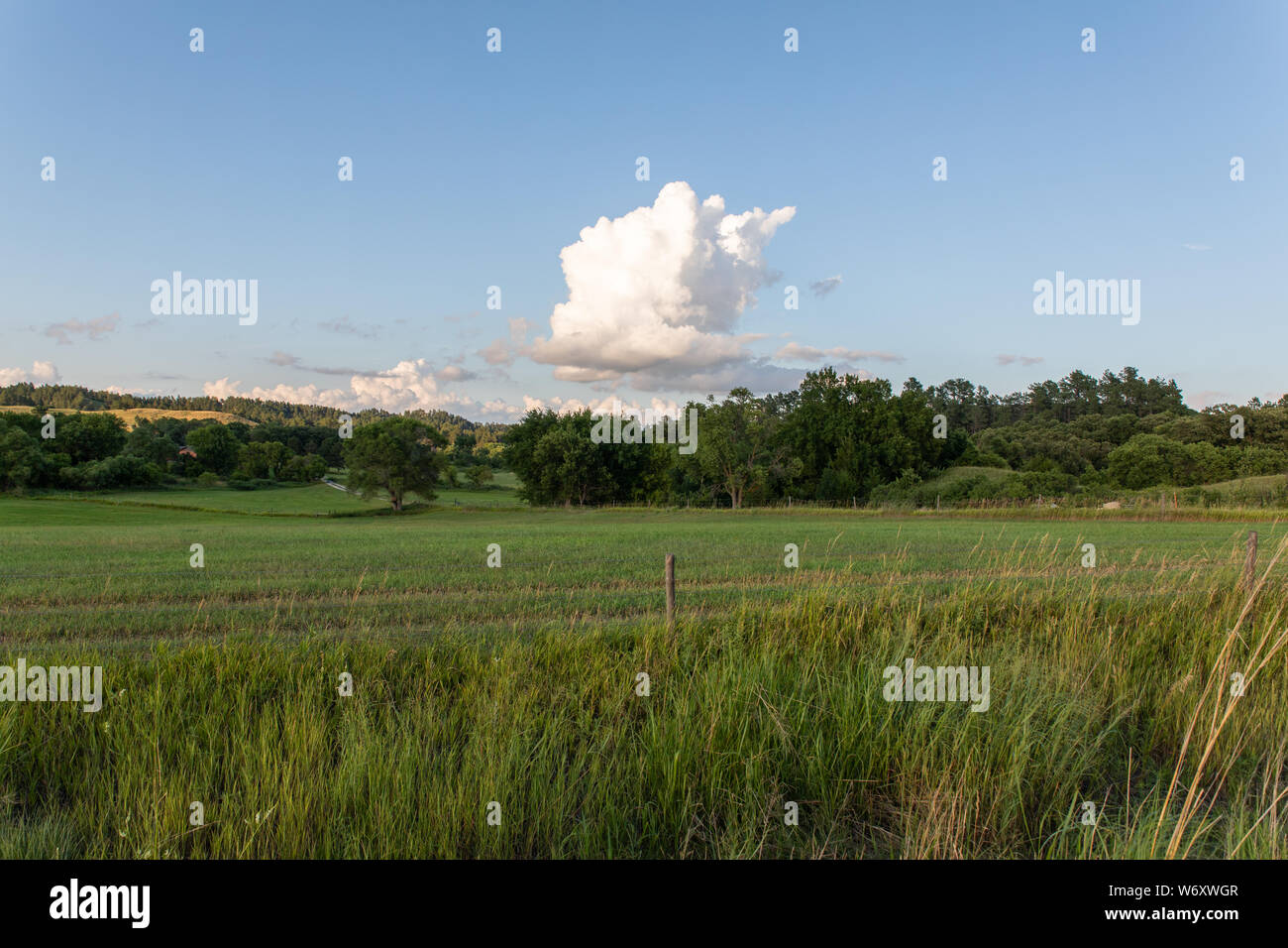 Landscape photo of a field in the midwest with fluffy clouds Stock ...