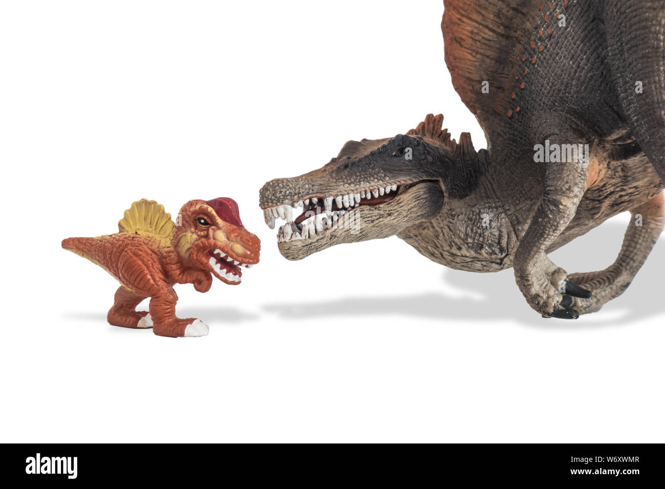 Baby Spinosaurus