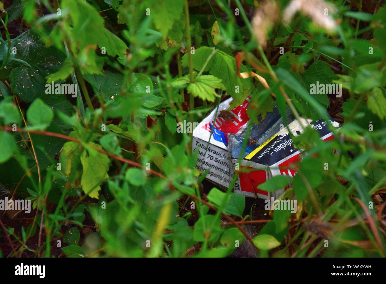 An empty cigarette pack lying in the grass, carelessly discarded Stock ...