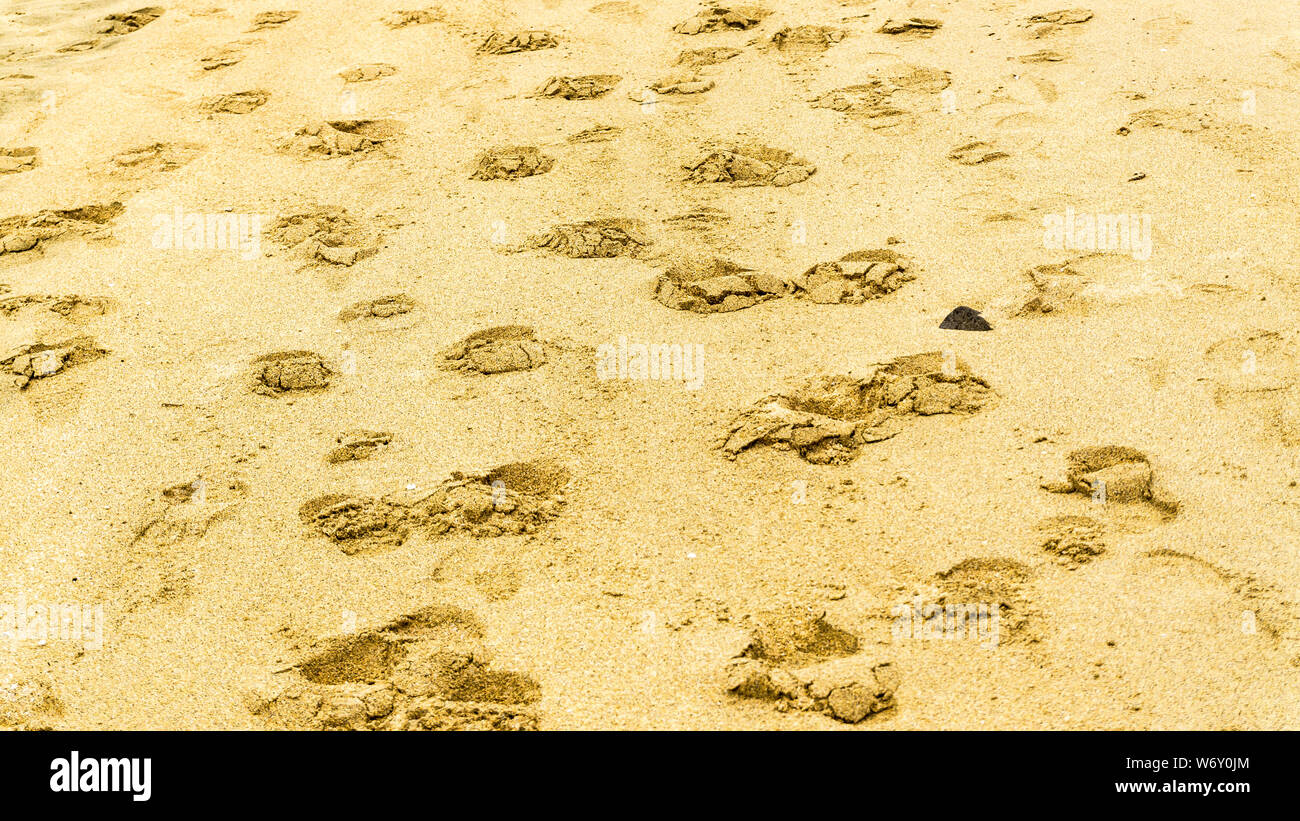 Foot trace in the sand hi-res stock photography and images - Alamy