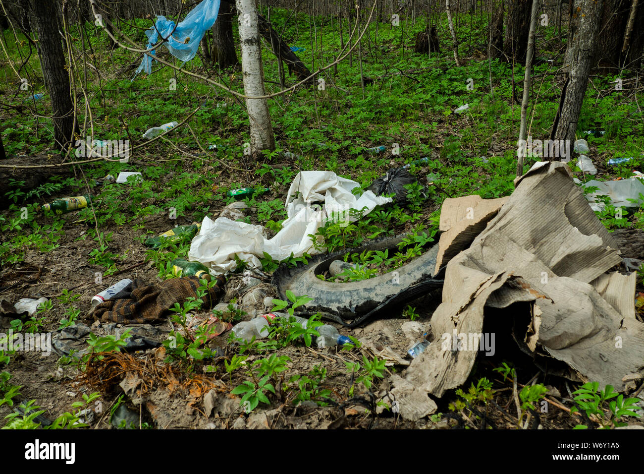 Garbage dump on the grass near the forest ecological disaster concept ...