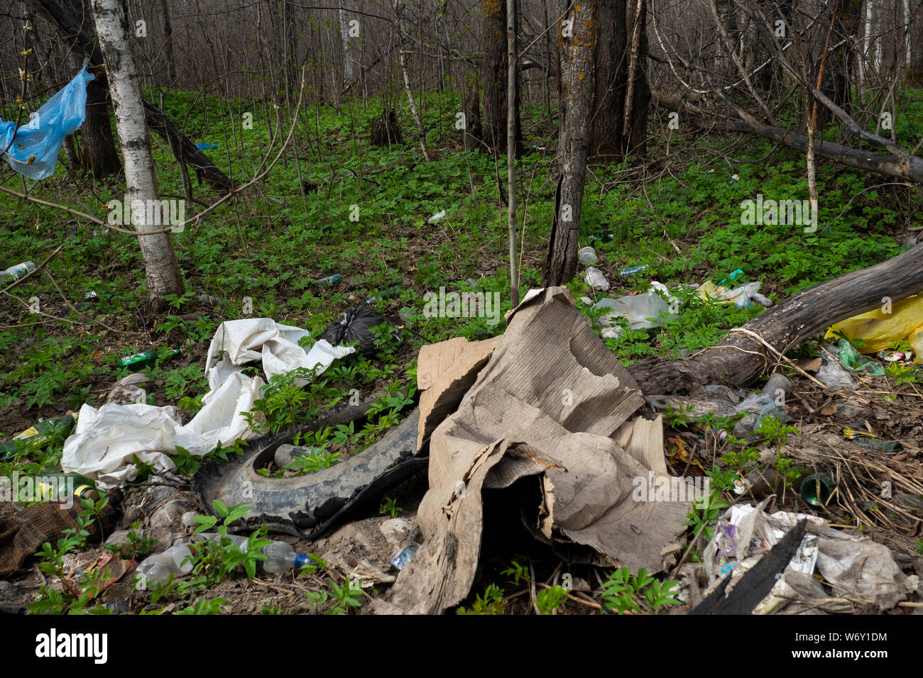Garbage dump on the grass near the forest ecological disaster concept ...
