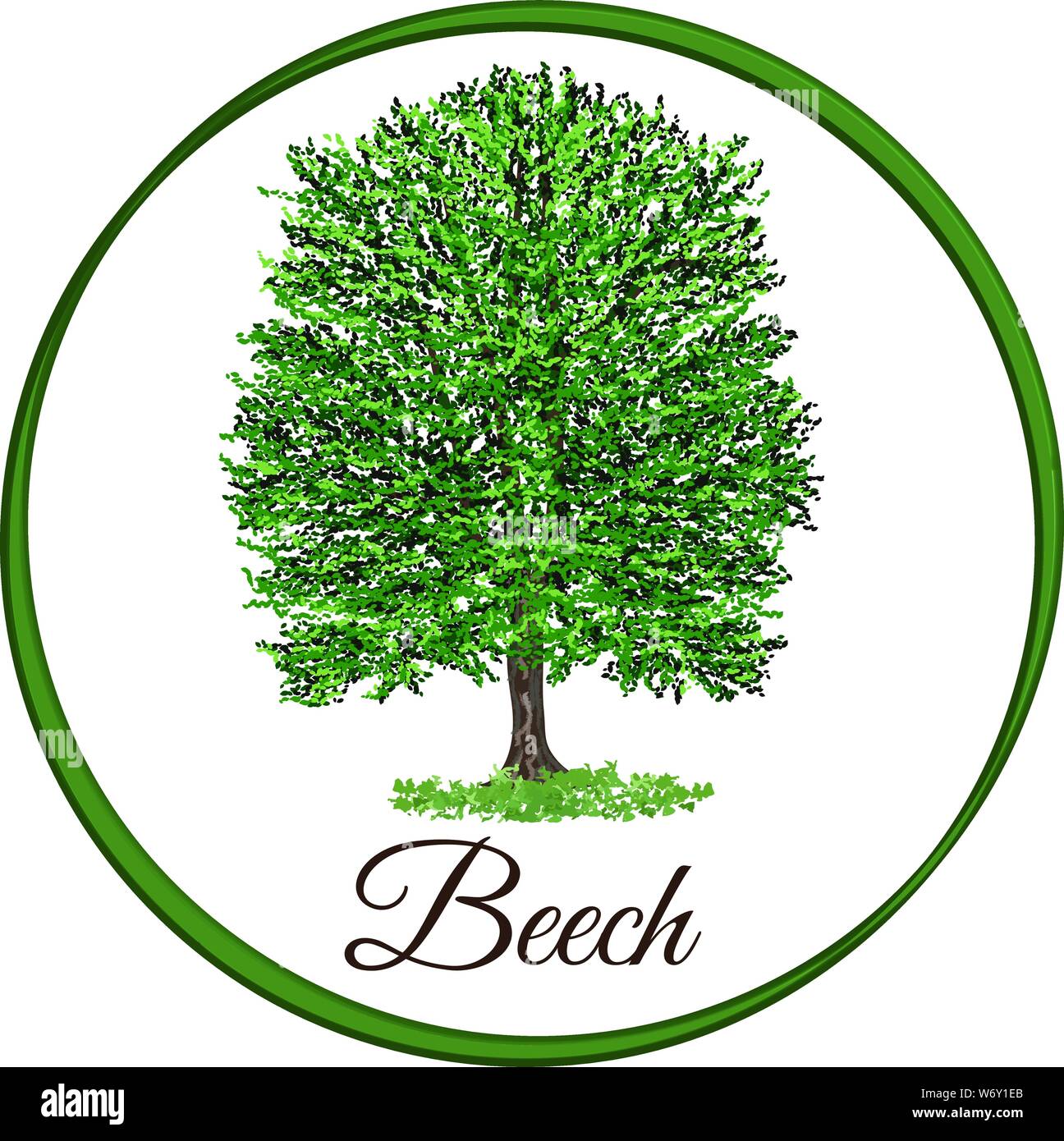 Beech tree silhouette hi-res stock photography and images - Alamy