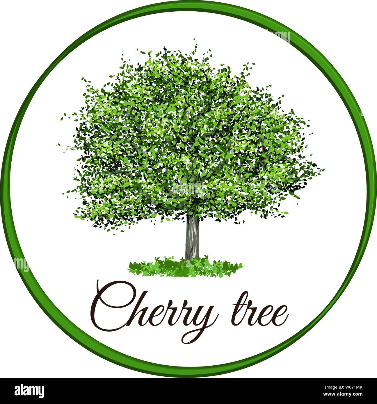 Cherry tree species Stock Vector Images - Alamy