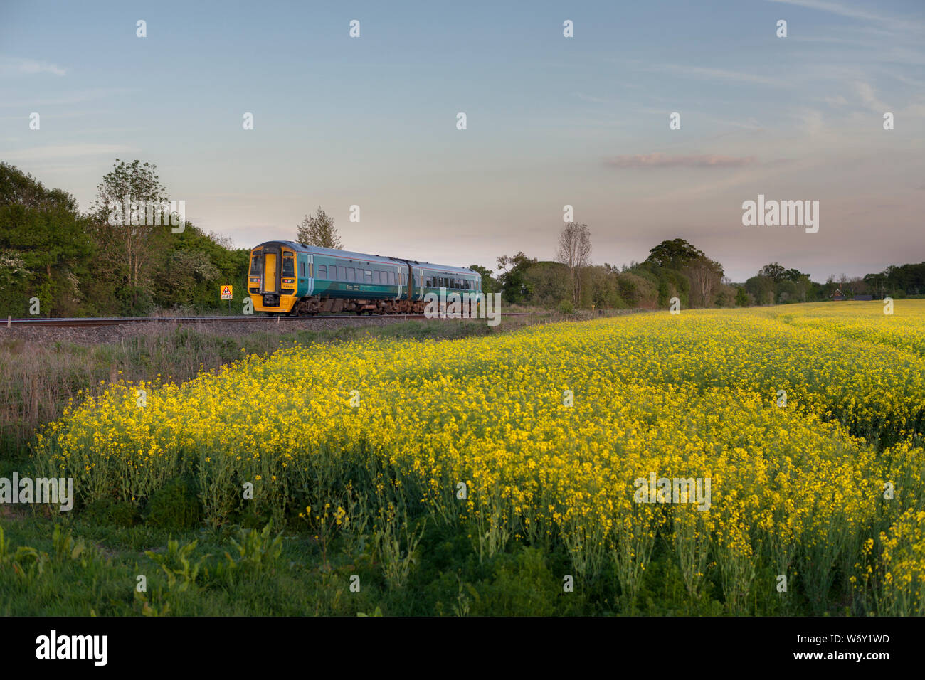 Transport For Wales class 158 express sprinter train passing the yellow ...