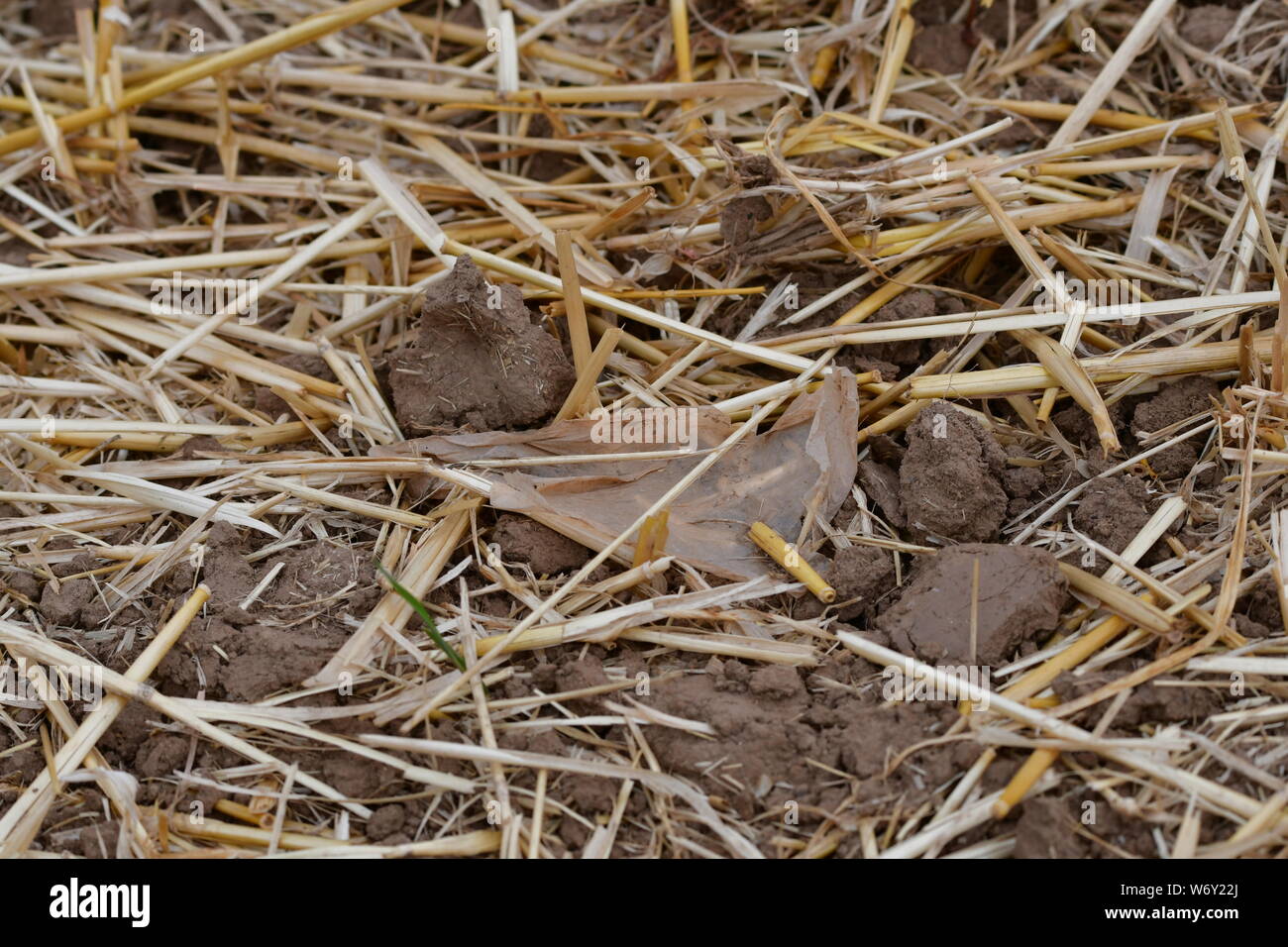 Plastic sheet pollution hi-res stock photography and images - Alamy