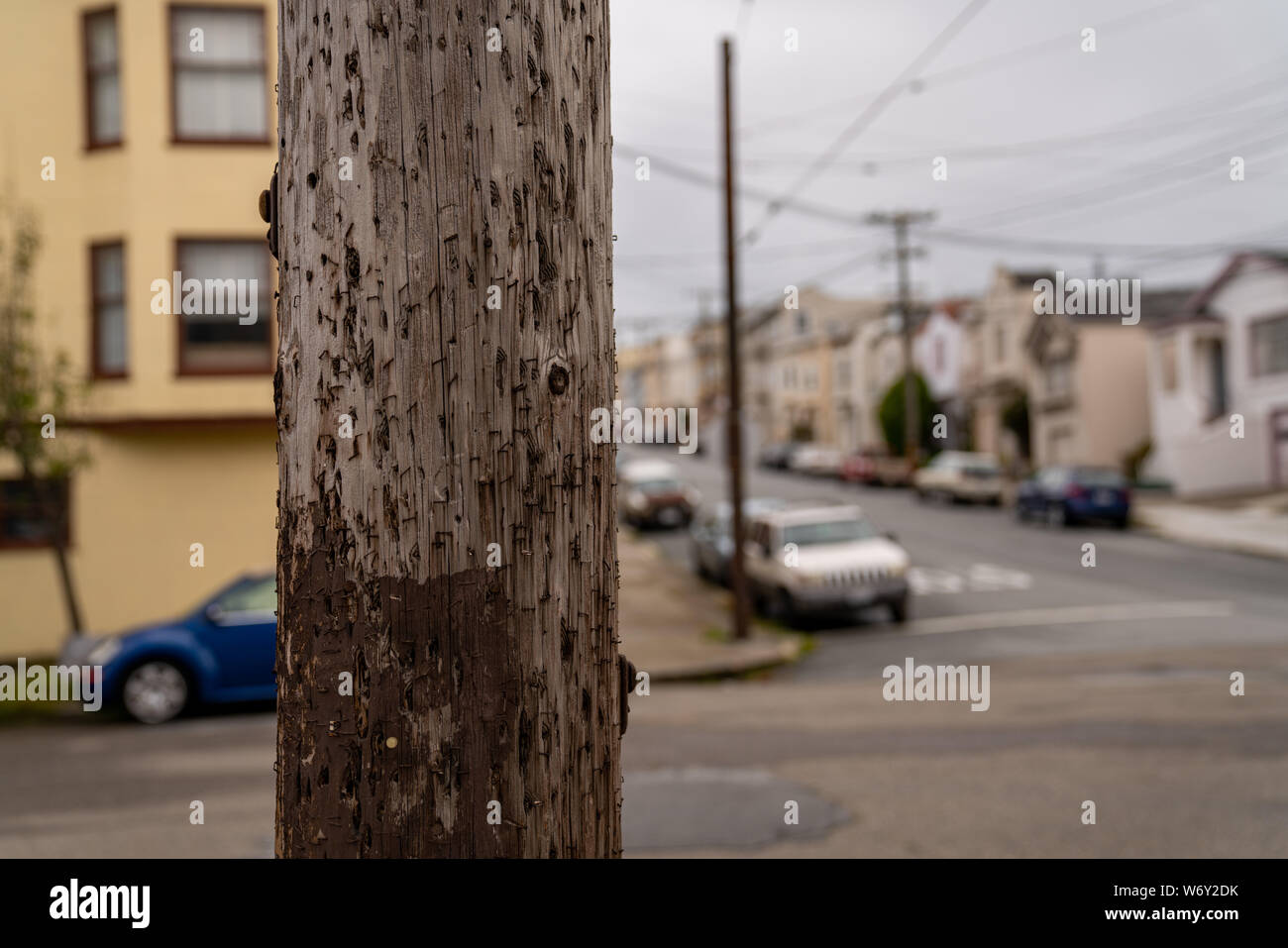Wooden utility pole for power with hundreds of staples from past ...