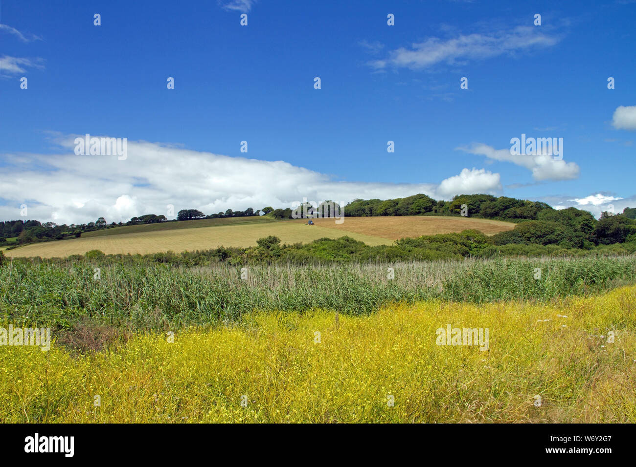 Farming at Slapton in south Devon Stock Photo - Alamy