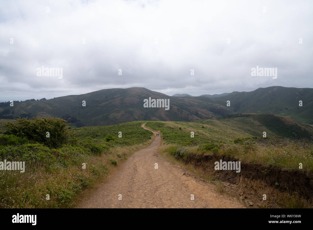 Winding path lonely hi-res stock photography and images - Alamy