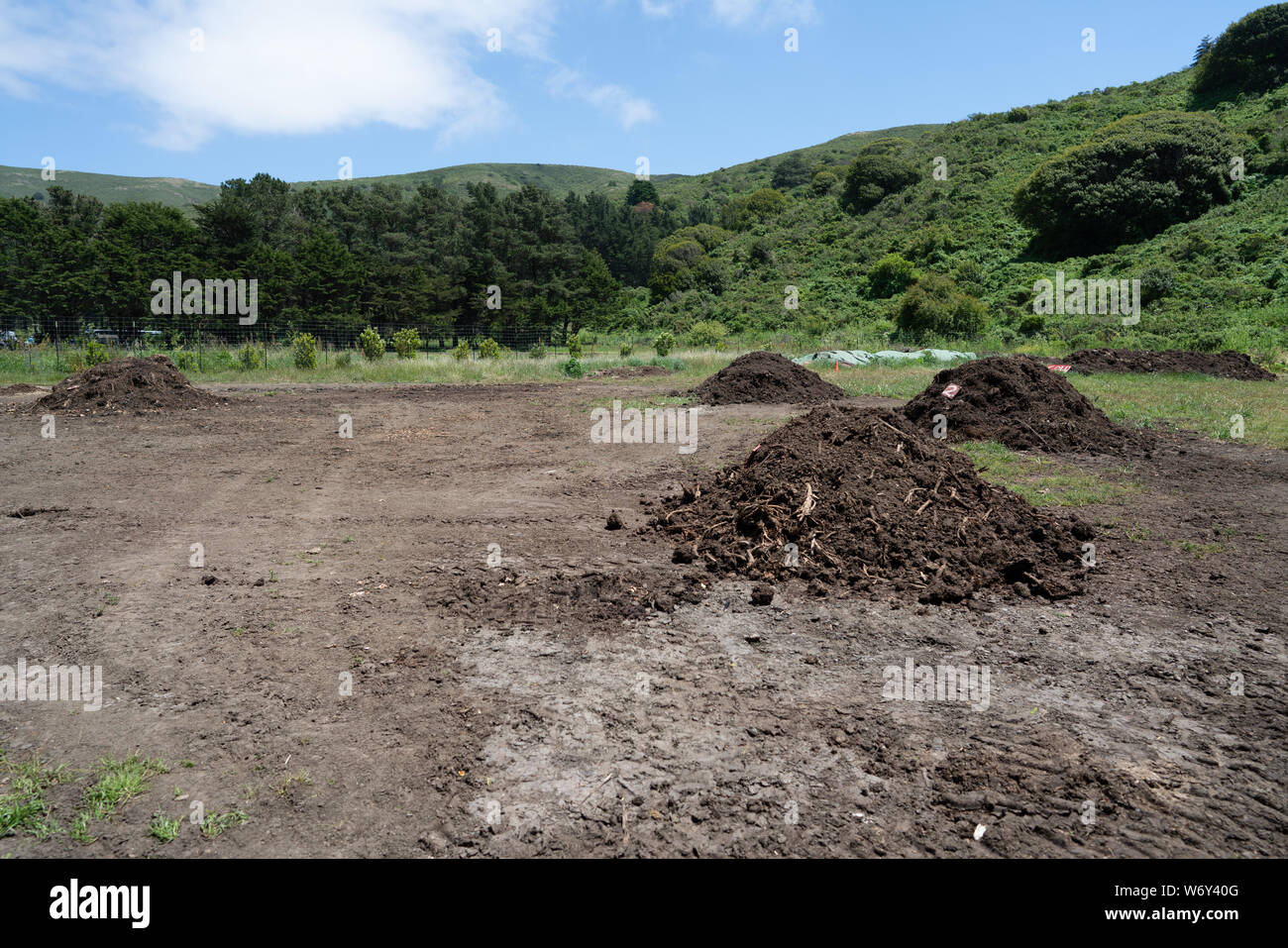 Large mounds of manure and compost preparing for use on crops in field ...