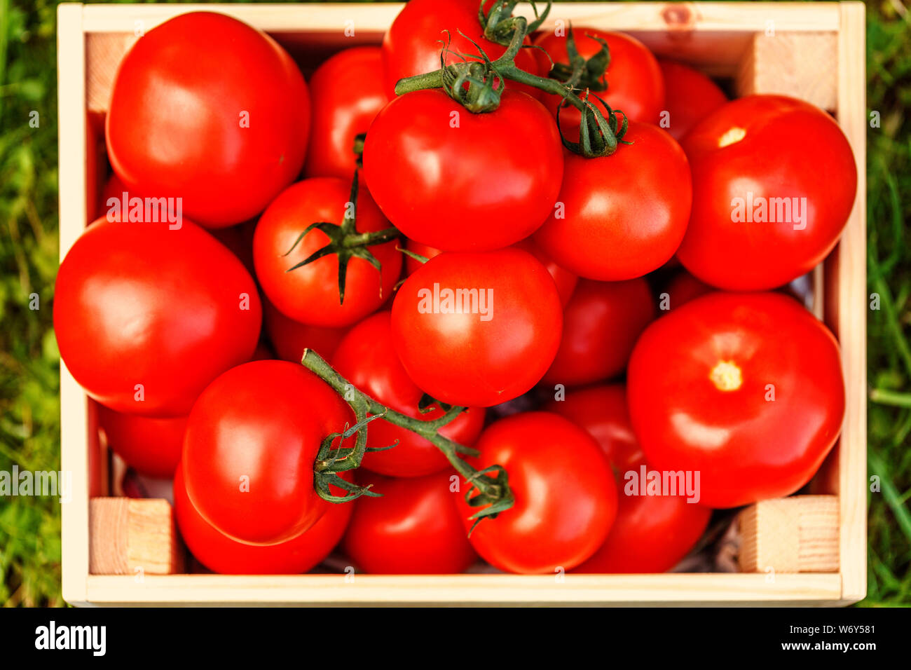 Crop picture of fresh tomato close up Stock Photo - Alamy