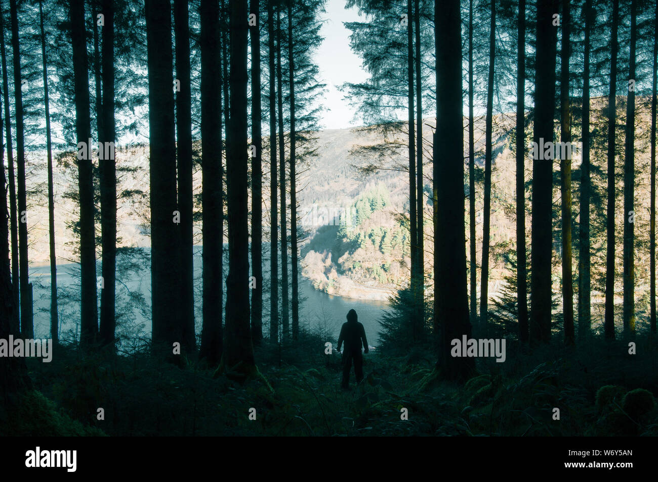 Hooded figure in woods hi-res stock photography and images - Alamy