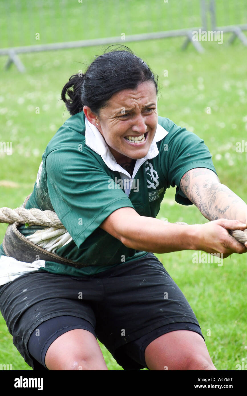Tug of war,rope pulling,a sport that pits two teams against each other ...