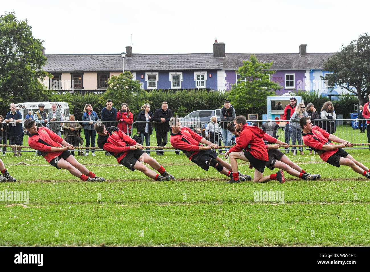 Pits two teams against each other in a test of hi-res stock photography ...